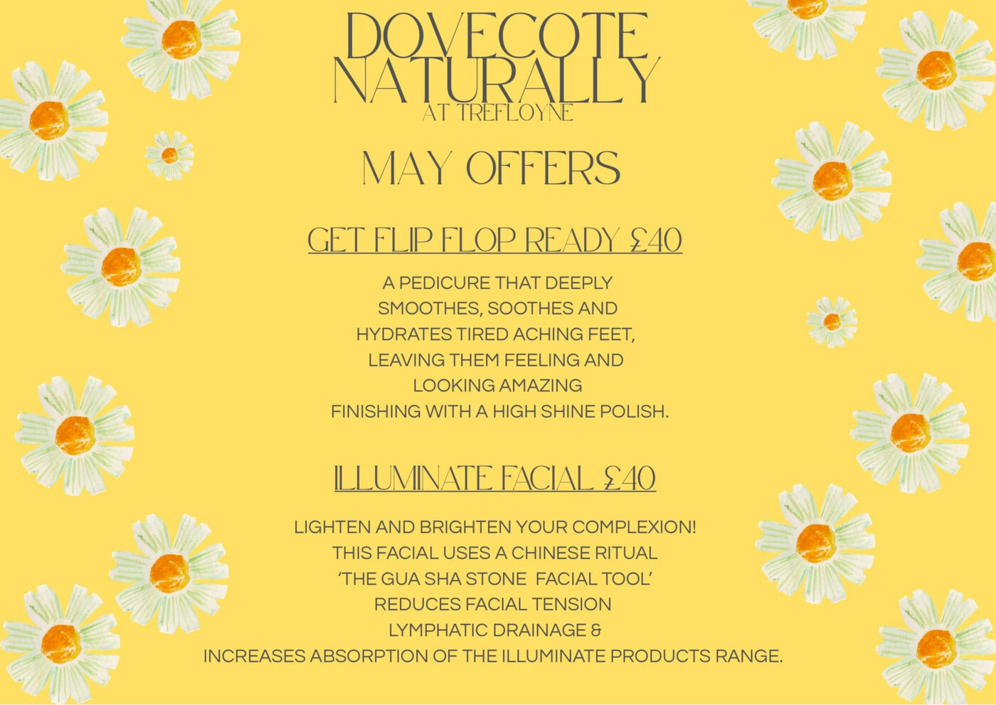 Trefloyne Manor | Dovecote Treatments and Packages